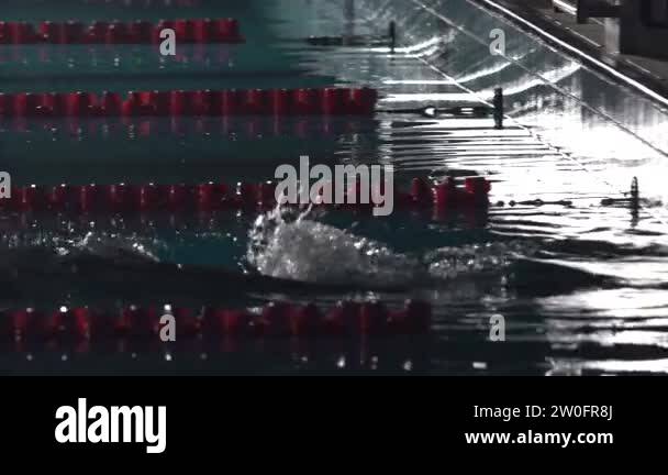 Male swimmer jumps off starting block and start swims in pool ...