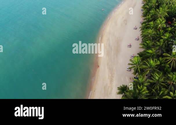Blue lagoon and sandy beach with palms. Aerial view of blue lagoon and ...