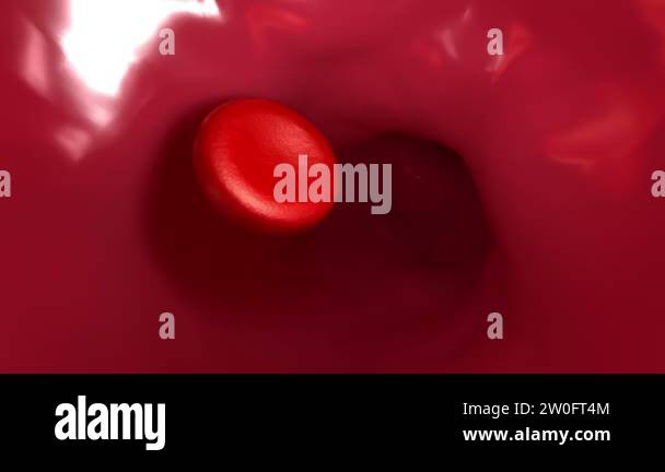 Single Red Blood Cell flow through capillary loop Stock Video Footage ...
