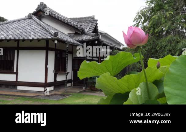 Tennoji or Tenno-ji temple, the oldest shrine in Yanaka area, Tokyo ...