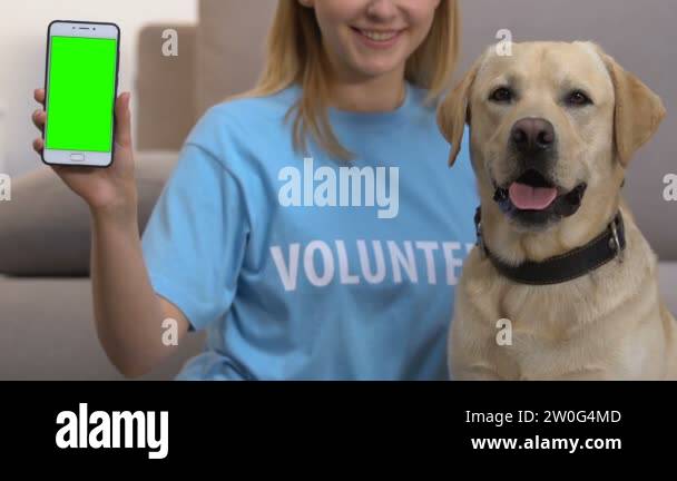 Green screen dog Stock Videos & Footage - HD and 4K Video Clips - Alamy