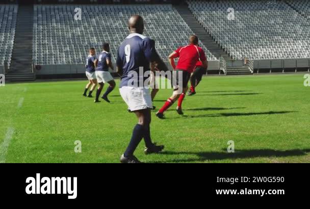 Side view of diverse rugby players playing rugby match in stadium. They ...