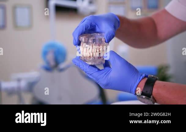 Male doctor jaw model Stock Videos & Footage - HD and 4K Video Clips - Alamy