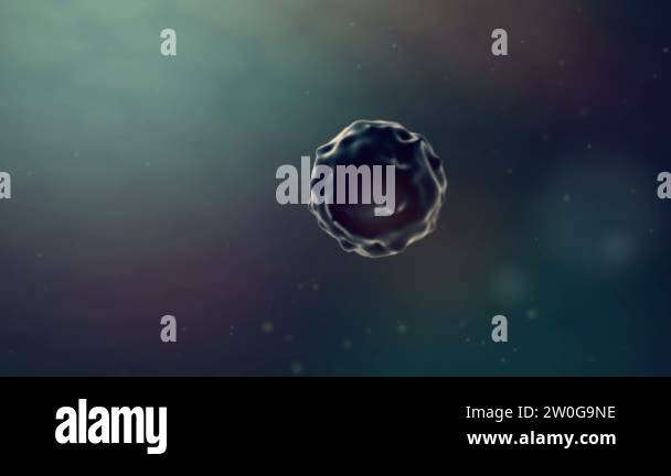 Beautiful cell Stock Videos & Footage - HD and 4K Video Clips - Alamy