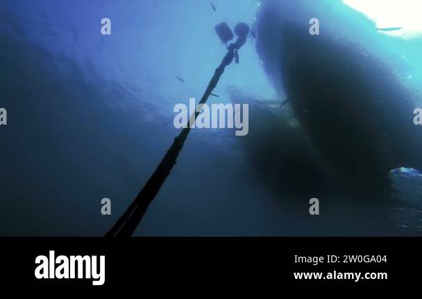 Scuba Diver Descending into Blue Water in Slow Motion. Underwater View ...