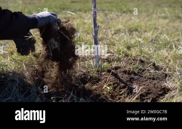 Digging system Stock Videos & Footage - HD and 4K Video Clips - Alamy