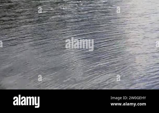 Liquid mica Stock Videos & Footage - HD and 4K Video Clips - Alamy