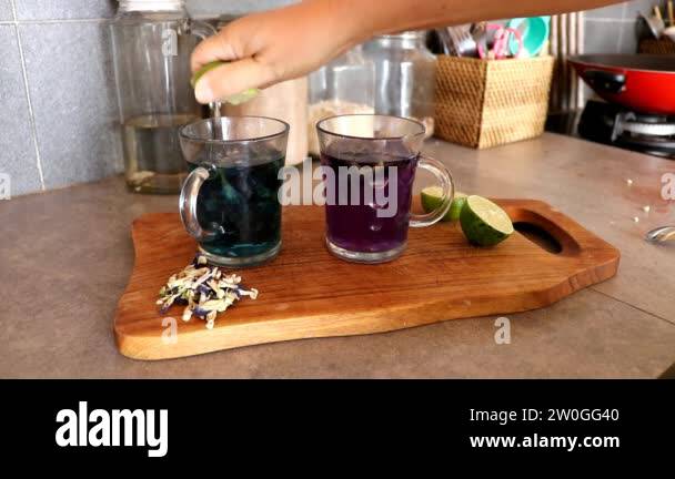 A woman squeezes a lemon into a glass of floral blue Thai tea Blue ...