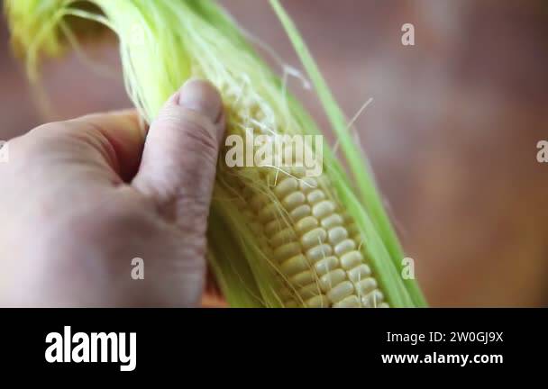 White husk Stock Videos & Footage - HD and 4K Video Clips - Alamy