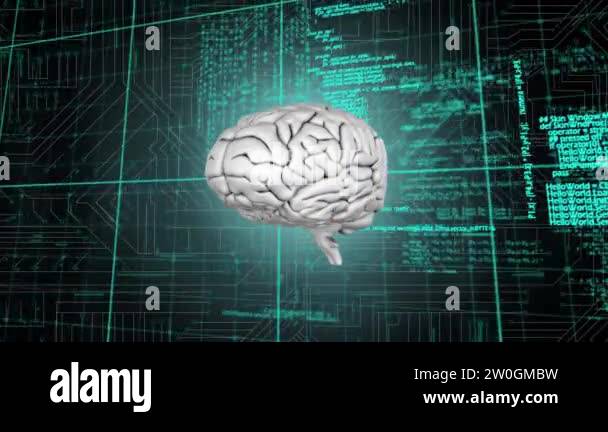 Digital animation of a brain rotating in the middle of the screen while background shows a ...