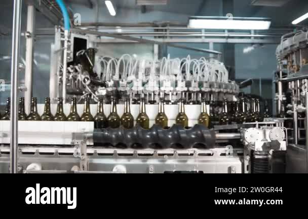 Automatic filling machine pouring beer in a brewery. Glass bottles for ...