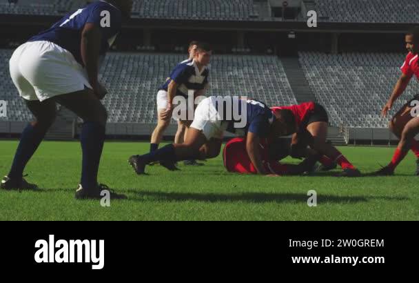 Side view of diverse rugby players playing rugby match in stadium. They ...