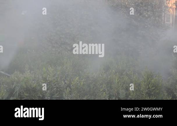 Fog sprinkler system Stock Videos & Footage - HD and 4K Video Clips - Alamy