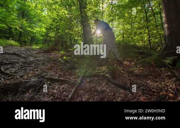 Forester is measuring the width of the tree trunk with a vernier ...