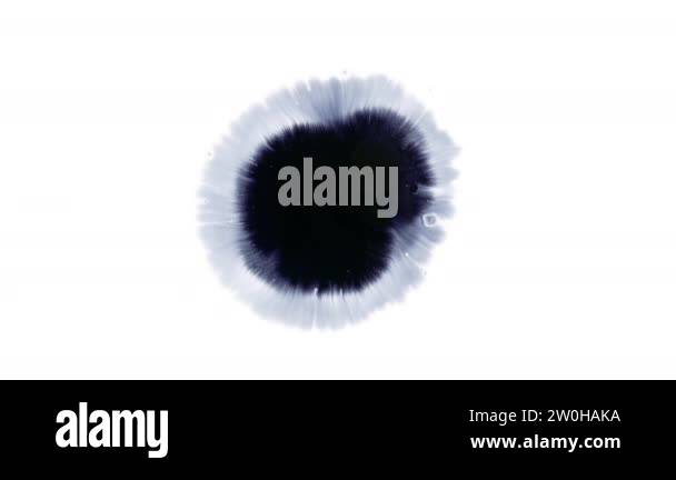 Beautiful watercolor ink drops on white paper, paint bleed Bloom, with ...