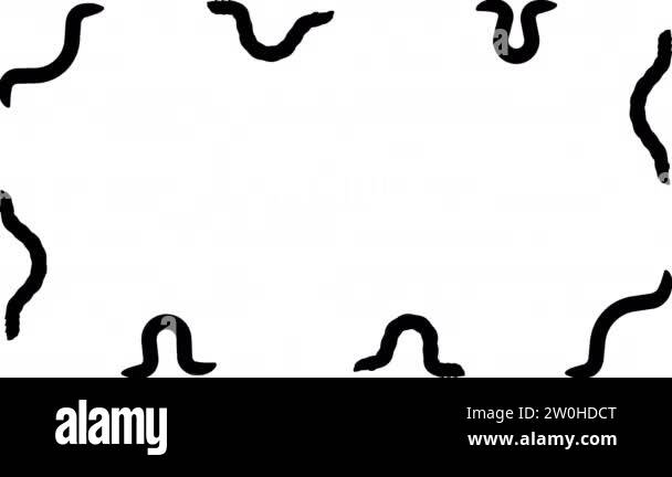 Legless larva Stock Videos & Footage - HD and 4K Video Clips - Alamy