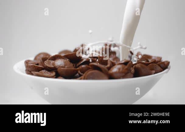 Milk is poured to the bowl with chocolate corn flakes in slow motion ...