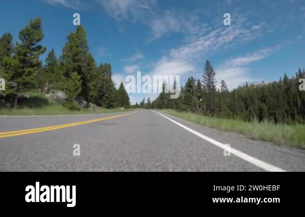 Open range cattle crossing Stock Videos & Footage - HD and 4K Video ...