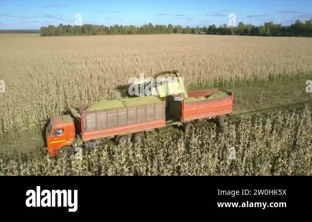 Cut out cut out silo Stock Videos & Footage - HD and 4K Video Clips - Alamy