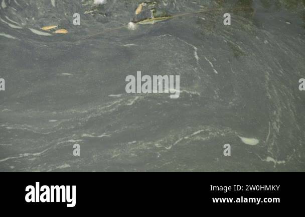 Water pollution crisis Stock Videos & Footage - HD and 4K Video Clips ...