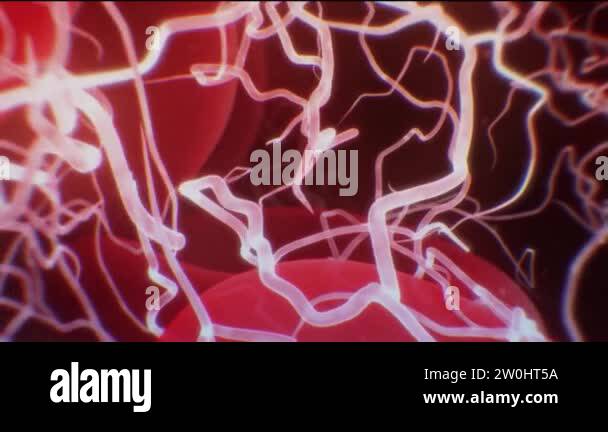 Coagulating process Stock Videos & Footage - HD and 4K Video Clips - Alamy