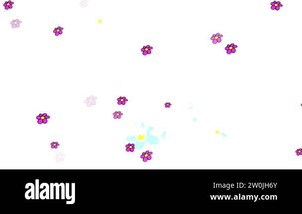 Floral desktop wallpaper Stock Videos & Footage - HD and 4K Video Clips ...