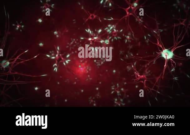 Neuron Looped Animation Full HD Stock Video Footage - Alamy