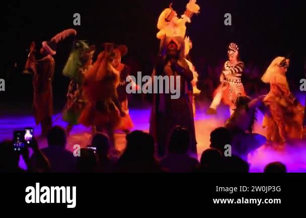 True lion king Stock Videos & Footage - HD and 4K Video Clips - Alamy