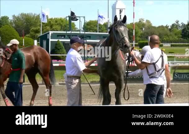 Racing winning post finishing line Stock Videos & Footage - HD and 4K ...