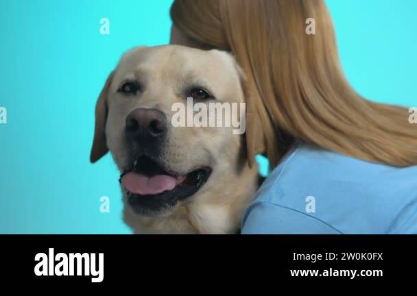 Animal hugging pet Stock Videos & Footage - HD and 4K Video Clips - Alamy