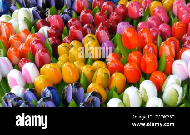 Wooden multi-colored tulips souvenirs and symbols of the Holland Stock ...