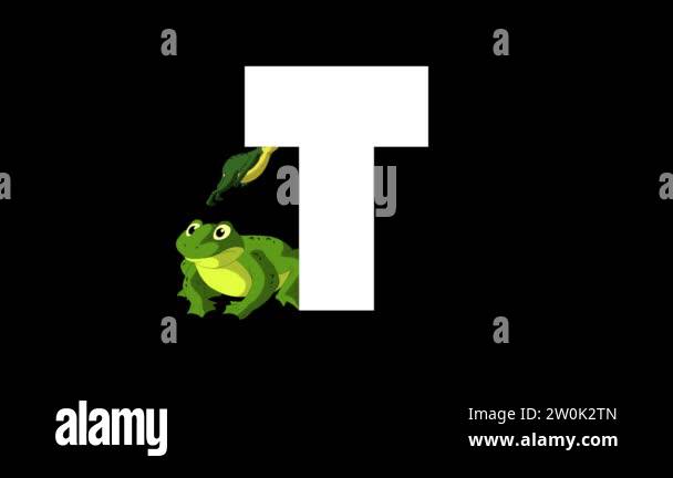 Animated zoological English alphabet. Alpha matte motion graphic ...