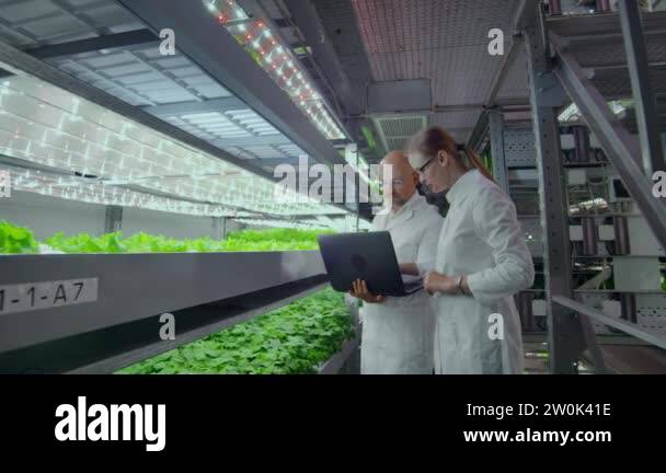 Vertical farming system Stock Videos & Footage - HD and 4K Video Clips ...
