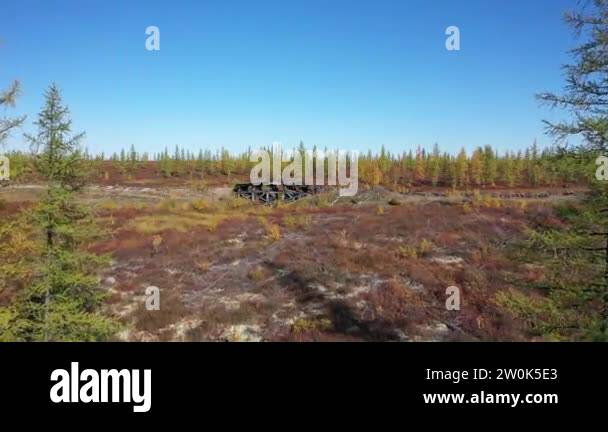 The old railway bridge of Stalin's 501st construction GULAG in the ...