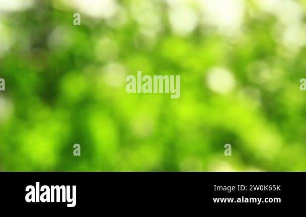 Soft sparkle Stock Videos & Footage - HD and 4K Video Clips - Alamy