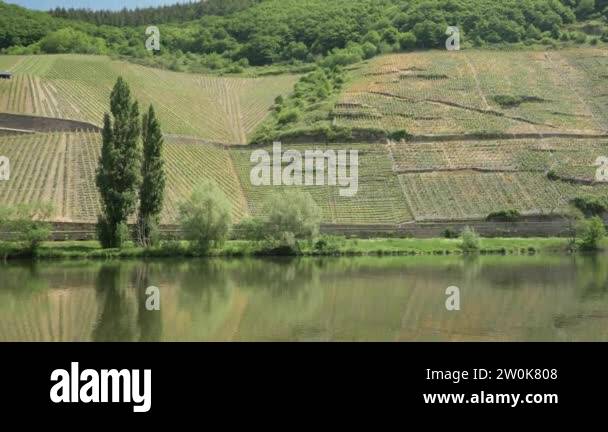 German vineyard landscape in Stock Videos & Footage - HD and 4K Video ...