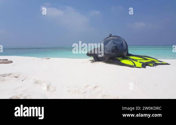 Diving mask flippers Stock Videos & Footage - HD and 4K Video Clips - Alamy