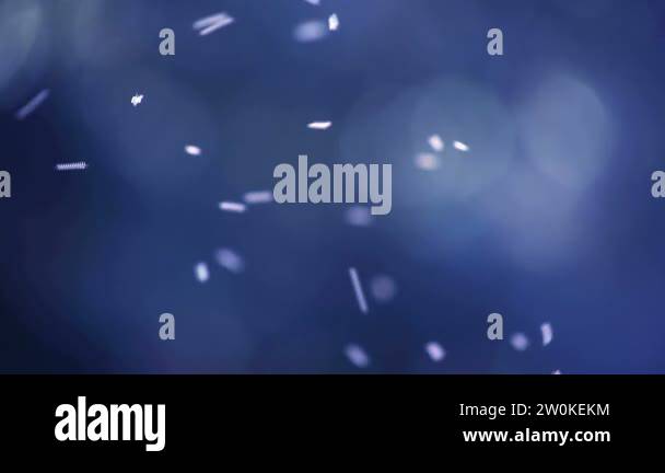White flies pests Stock Videos & Footage - HD and 4K Video Clips - Alamy