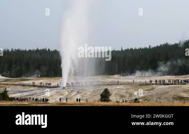 Beehive geyser erupting yellowstone Stock Videos & Footage - HD and 4K ...
