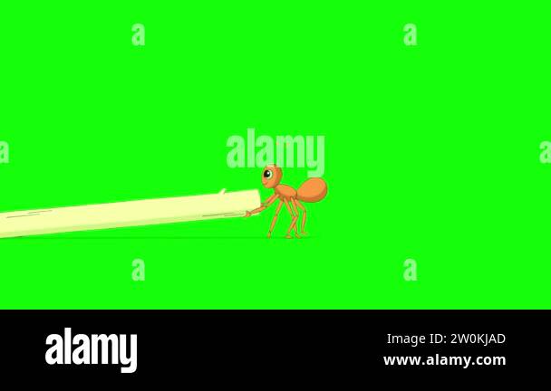 Ant pulls a stem of grass. Animated Motion Graphic with green screen ...