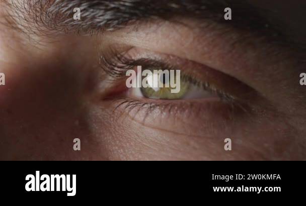 Eye from the side detail Stock Videos & Footage - HD and 4K Video Clips ...