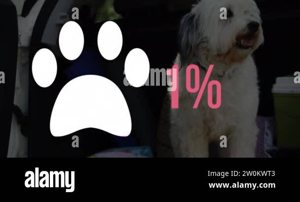 Dog zero Stock Videos & Footage - HD and 4K Video Clips - Alamy
