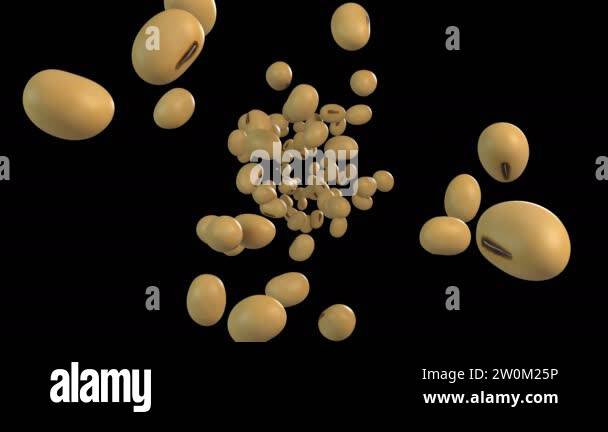 3D animation of a soybean flow with alpha layer Stock Video Footage - Alamy