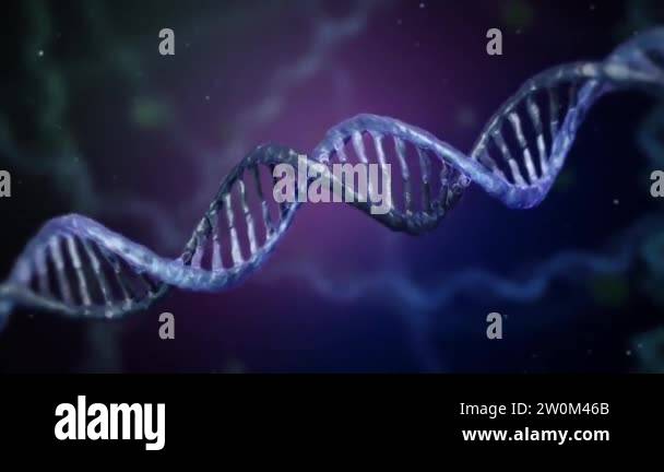 An abnormal amount of degradation of bacterial chromosomal DNA occurs ...