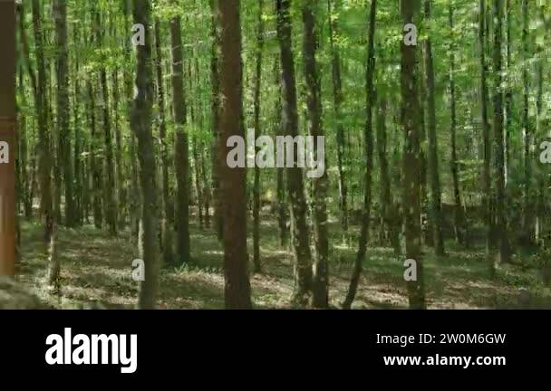 Scary tractor Stock Videos & Footage - HD and 4K Video Clips - Alamy