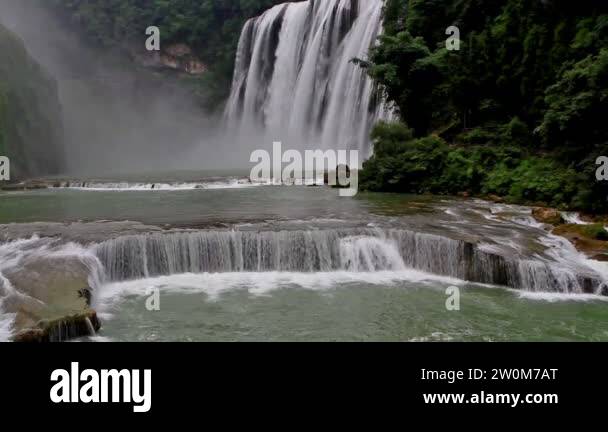 Famous trees of china Stock Videos & Footage - HD and 4K Video Clips ...