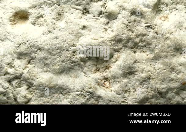 Limestone shells Stock Videos & Footage - HD and 4K Video Clips - Alamy