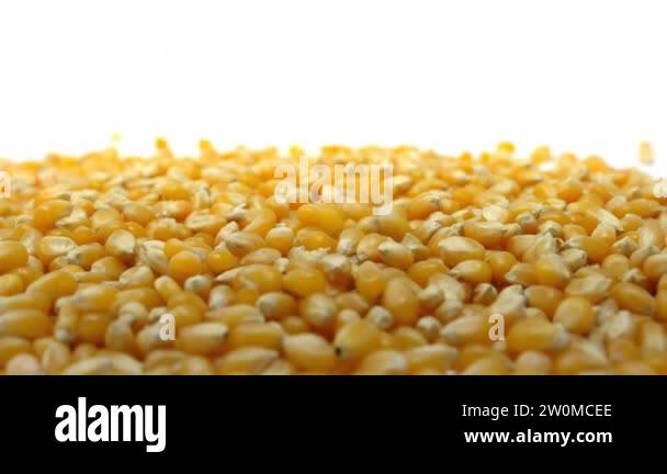 Popcorn unpopped kernel close up Stock Videos & Footage - HD and 4K ...