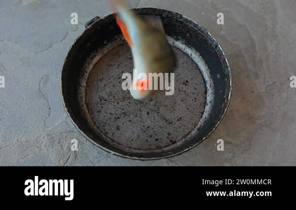 Stone bass fish Stock Videos & Footage - HD and 4K Video Clips - Alamy