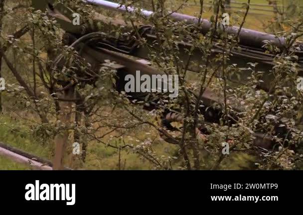 Business of felling trees and cutting and preparing the timber. Logging ...